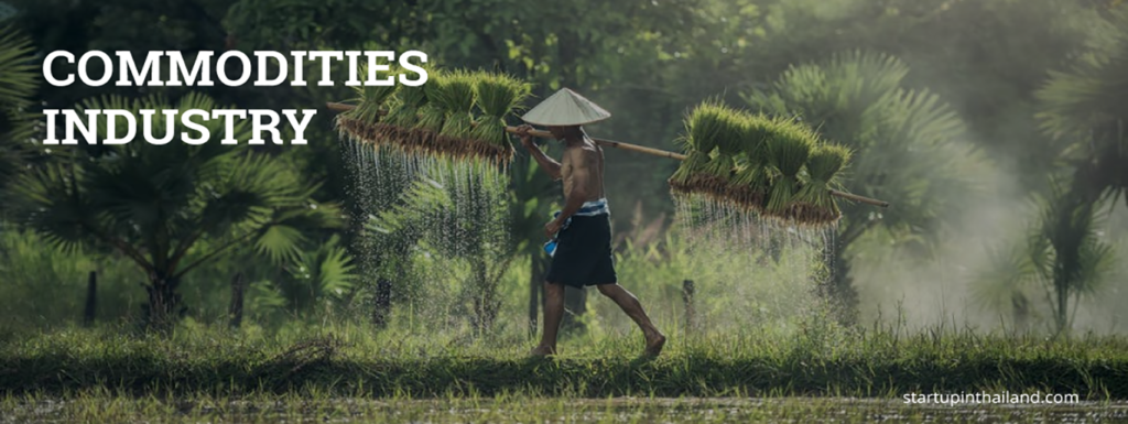 Commodity Market in Thailand | Trade Insights & Opportunities